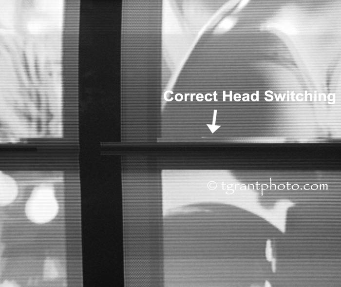 Head Switching Noise & Overscanned Images | TGrant Photo LLC