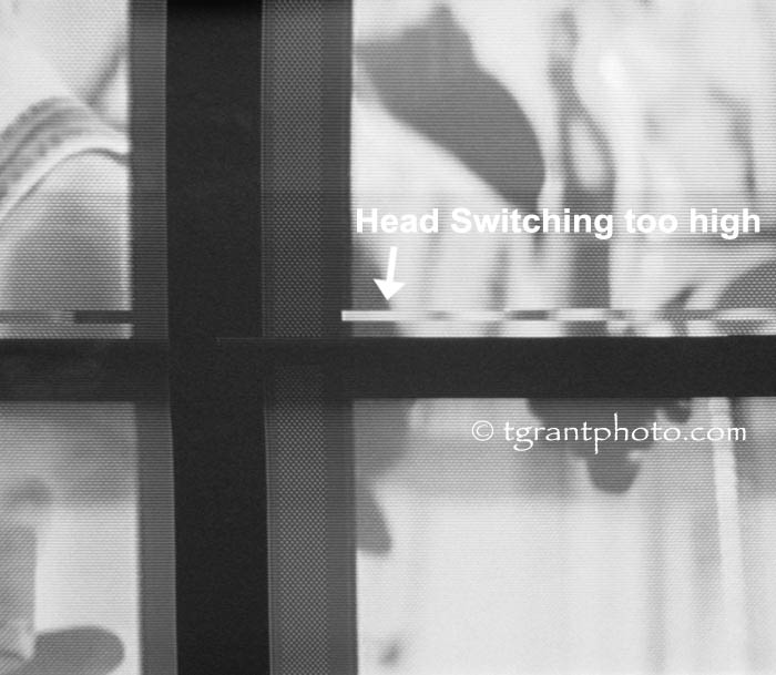 Head Switching Noise & Overscanned Images | TGrant Photo LLC