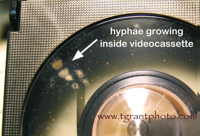 Sticky VHS tape | TGP Sales - a subsidiary of TGrant Photo