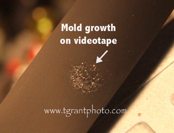 Sticky VHS tape | TGP Sales - a subsidiary of TGrant Photo